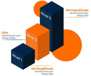 Procesos de Debida diligencia - Risk Consulting Global Group