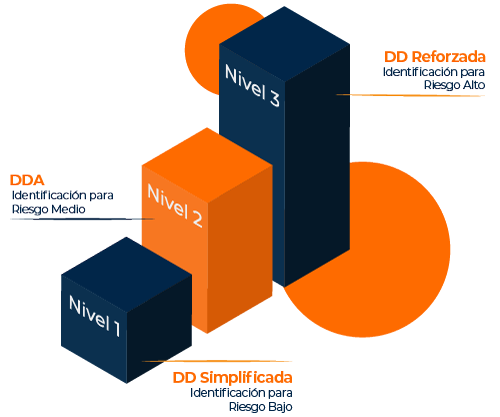 Debida Diligencia Reforzada - Risk Constulting Global Group